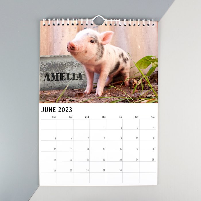 Personalised A4 Cute Animals Calendar | SpecialMoment.co.uk