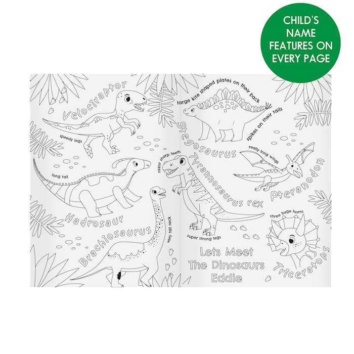 Personalised Dinosaur Colouring Book | SpecialMoment.co.uk