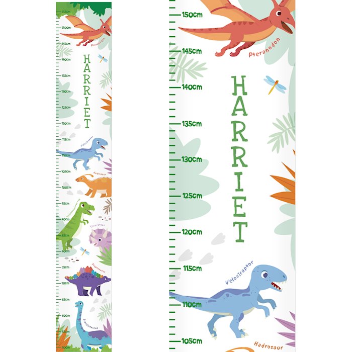 Personalised Dinosaur Height Chart | SpecialMoment.co.uk