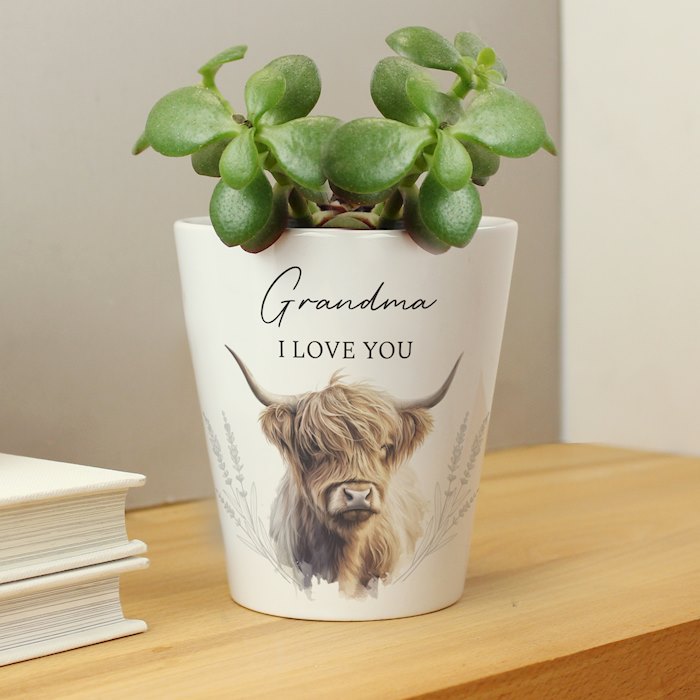 Personalised Highland Cow Plant Pot | SpecialMoment.co.uk
