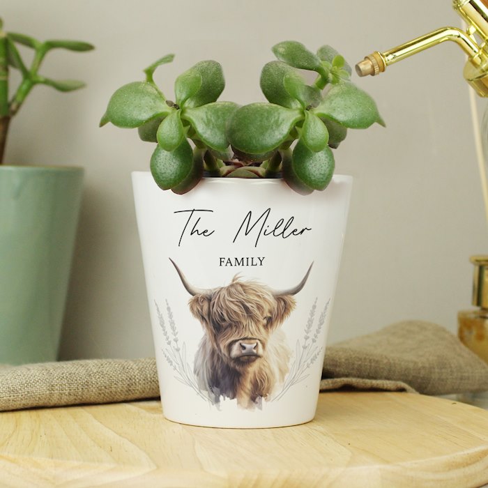 Personalised Highland Cow Plant Pot | SpecialMoment.co.uk